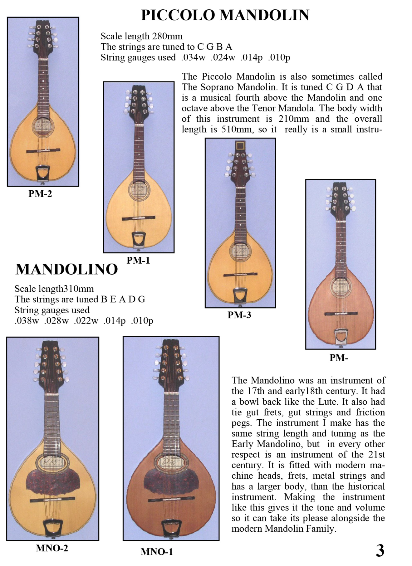 PICCOLO MANDOLIN – Paul Hathway